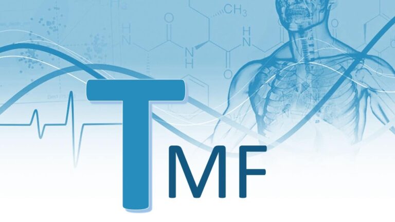 Trial Master File - TMF - Statistik Service